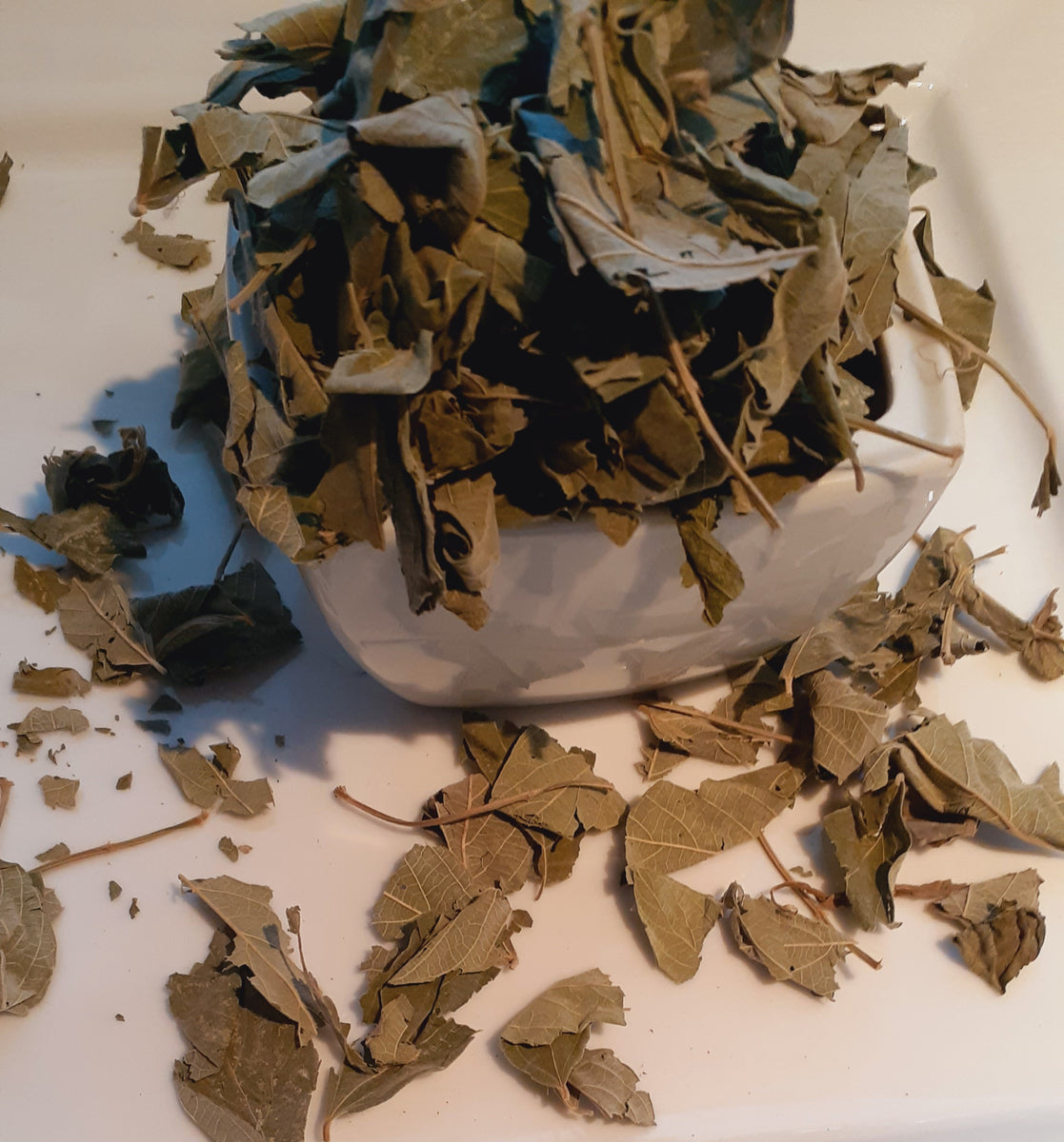 Feuille pois congo 10 g – Danie Skin